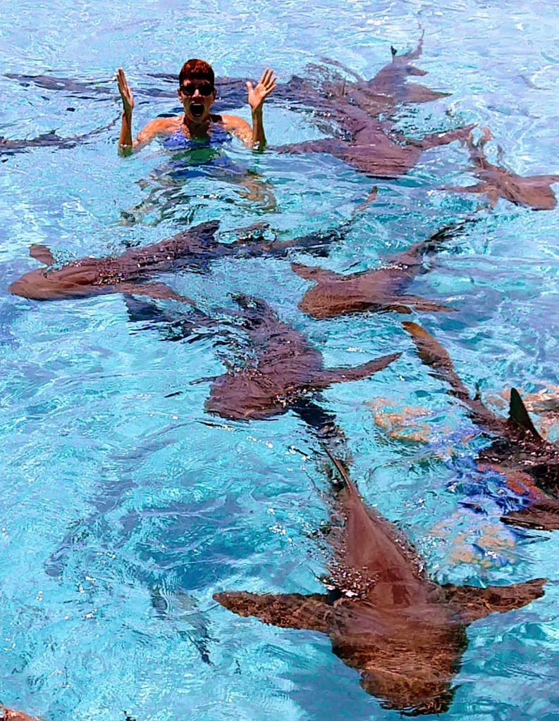 Turning around….and sharks! | What Floats Our Boat