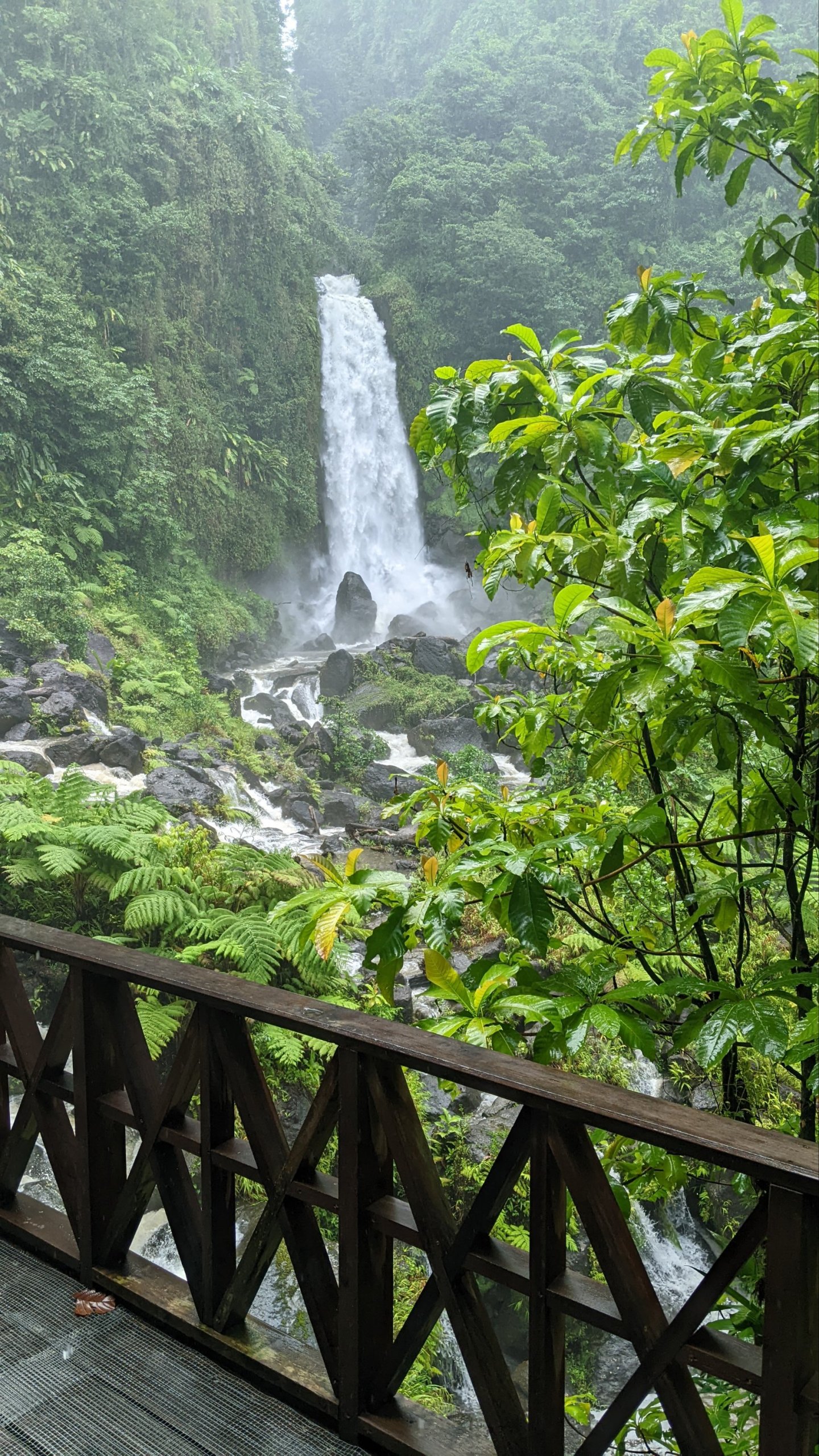 Chasing waterfalls in Dominica | What Floats Our Boat