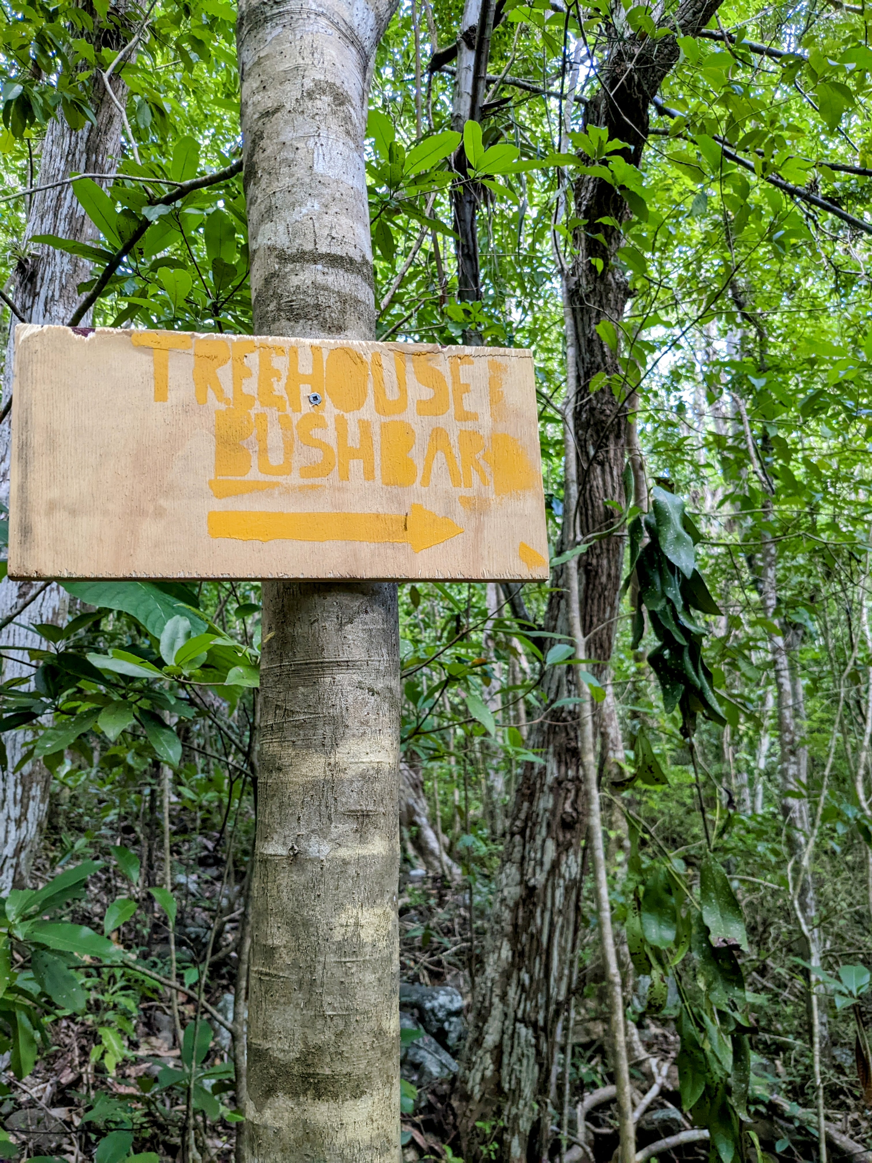 Welcome to the Jungle – a visit to the Treehouse Bush Bar | What Floats ...
