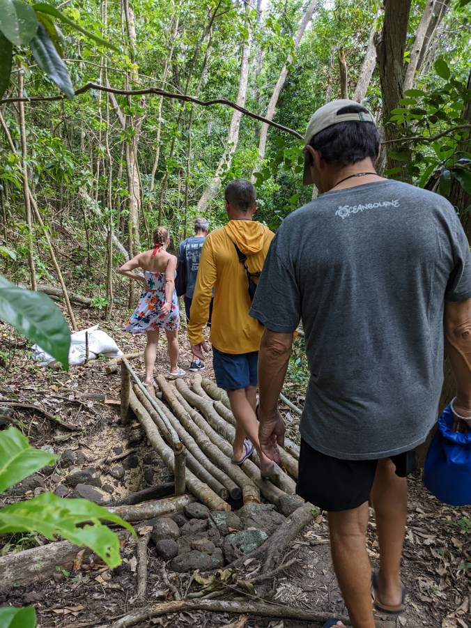 Welcome to the Jungle – a visit to the Treehouse Bush Bar | What Floats ...